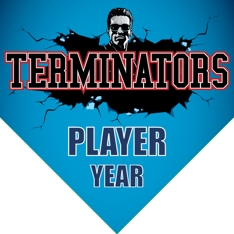 Terminators - Home Plate Softball Pennant – Team Sport Banners